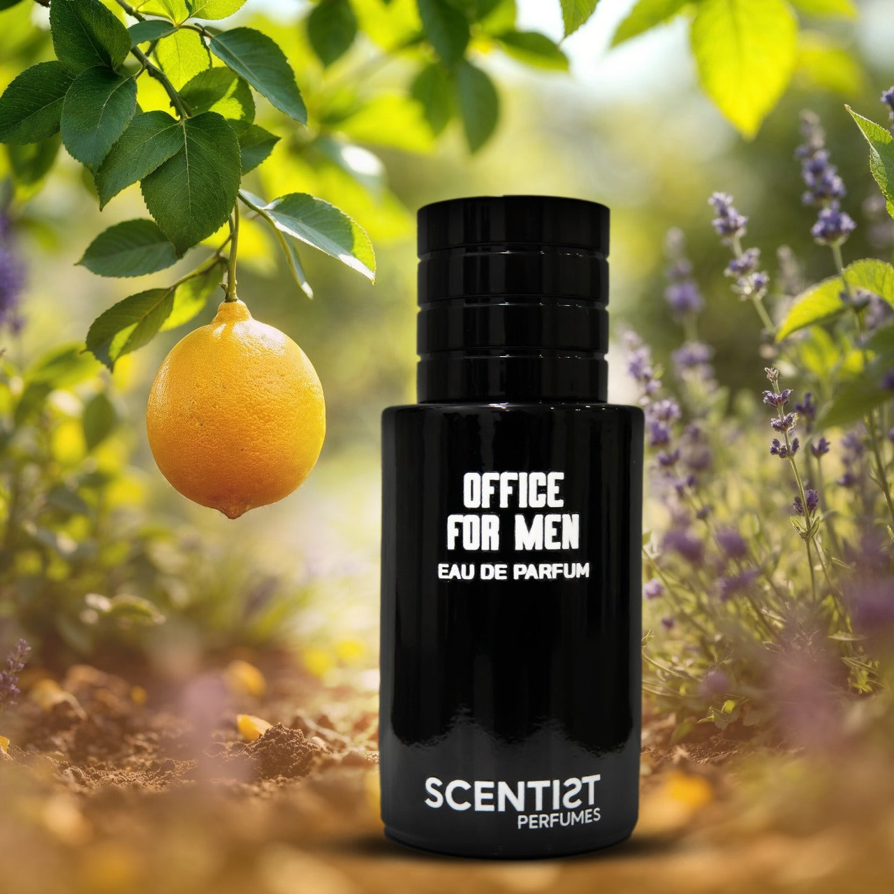 Office For Men – SCENTIST PERFUMES